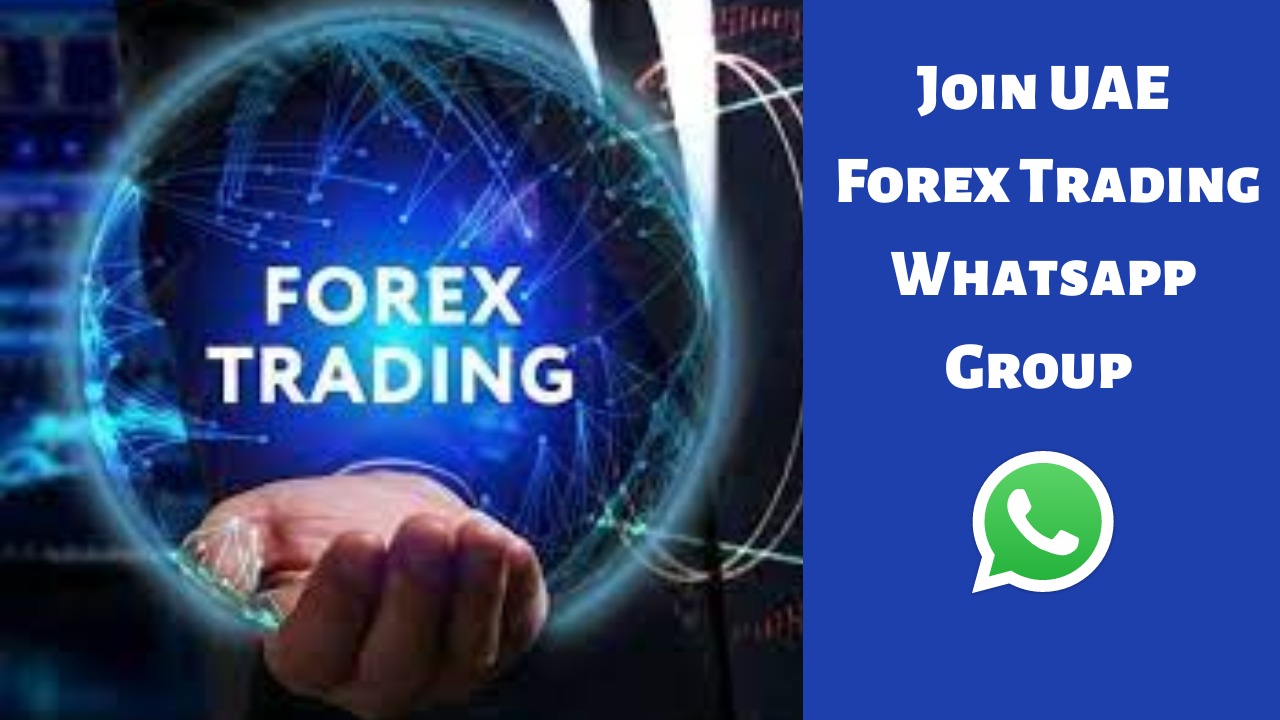 UAE Forex Trading Whatsapp Group